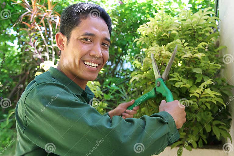 Gardener stock photo. Image of bush, garden, agriculture - 4864966
