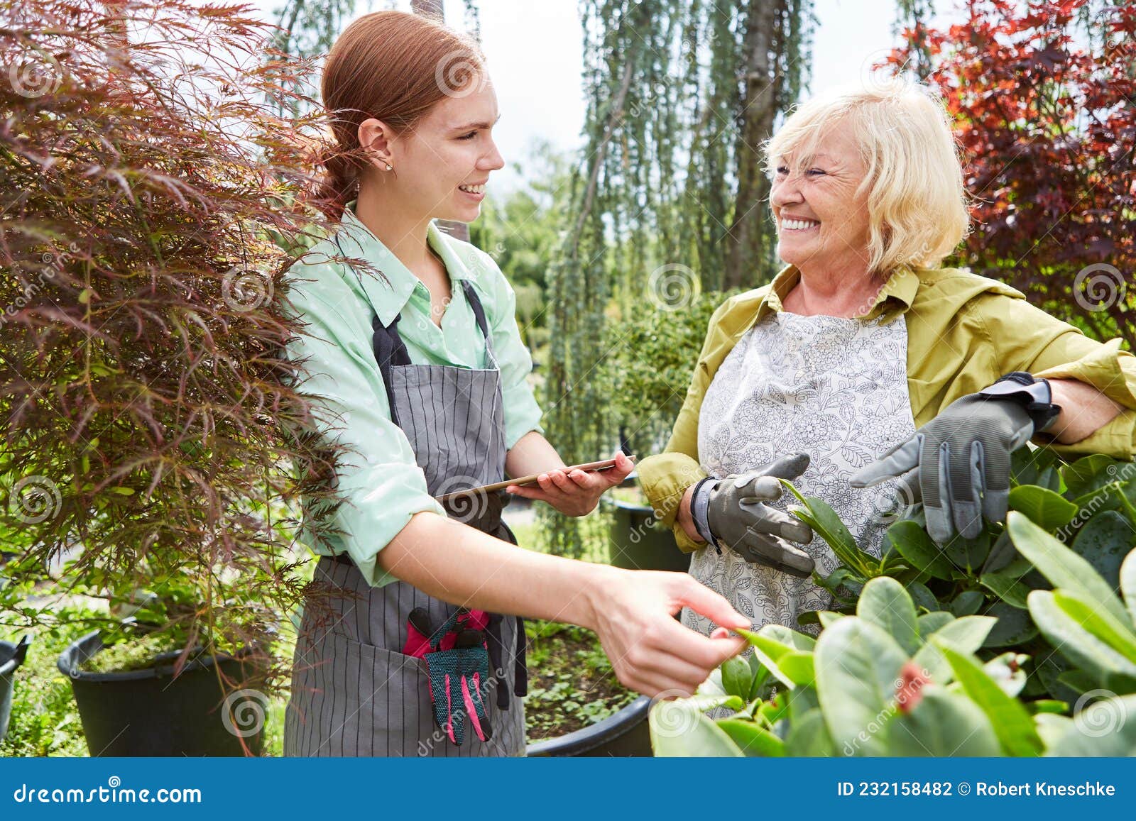 Gardener and Apprentice Gardener in the Nursery Stock Photo - Image of ...