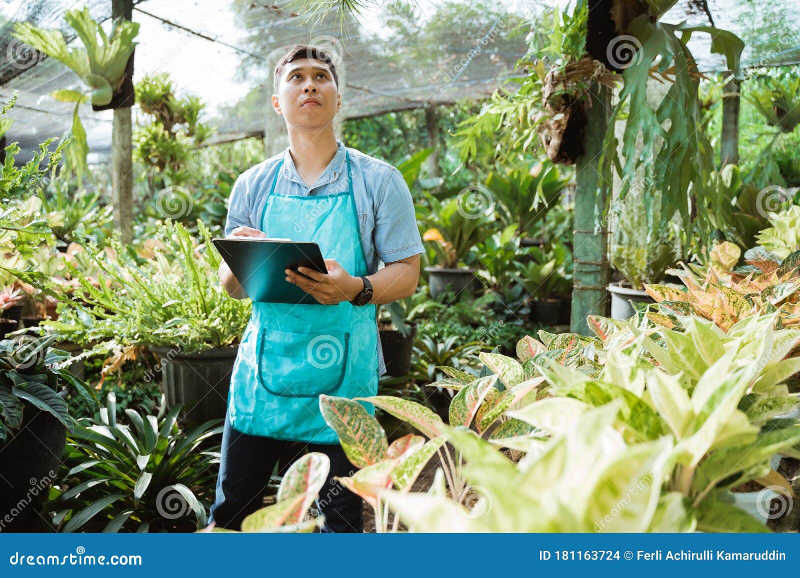 Gardener or Botanic Worker Checking Some Plants Stock Photo - Image of ...