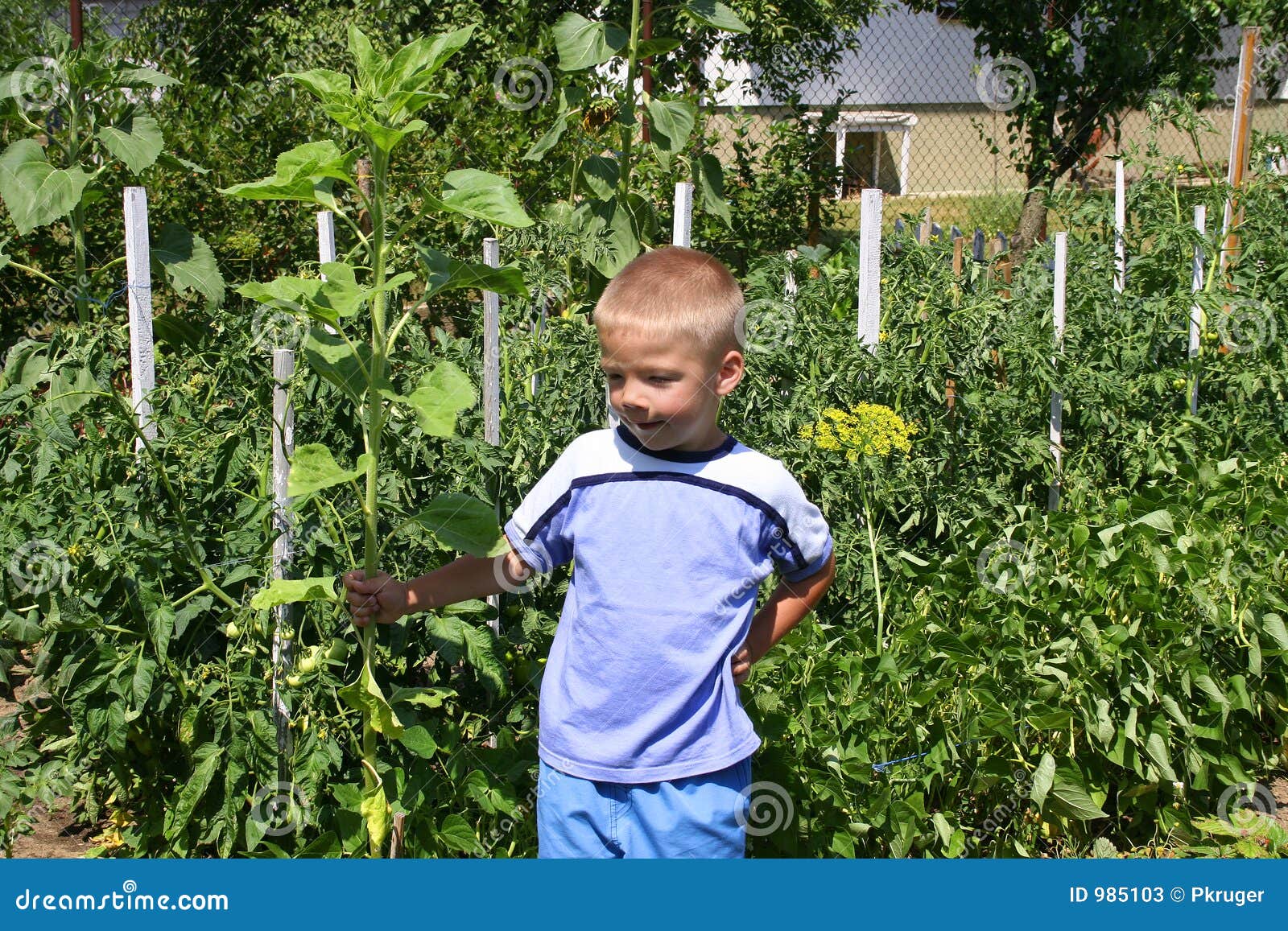 Gardener Boy Picture. Image: 985103