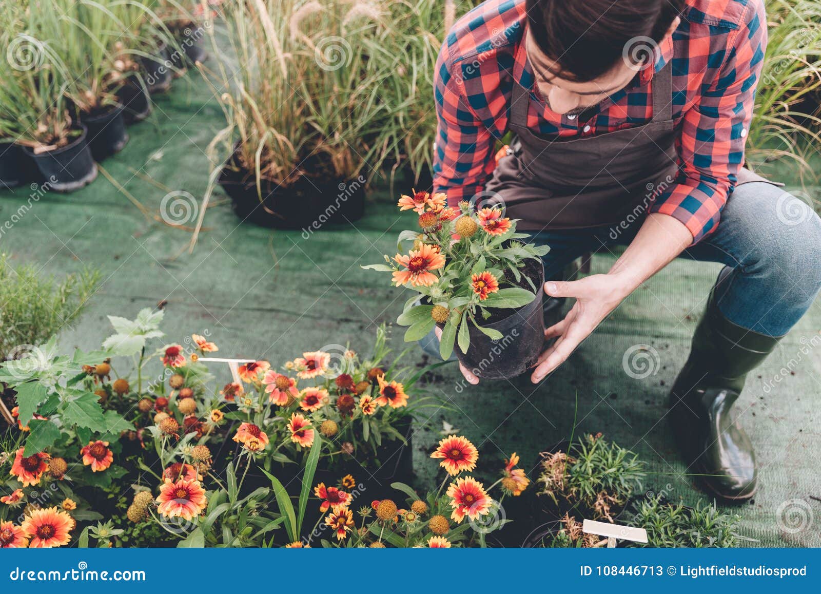 Gardener Checking Flower in Flowerpot while Working in Garden Stock ...