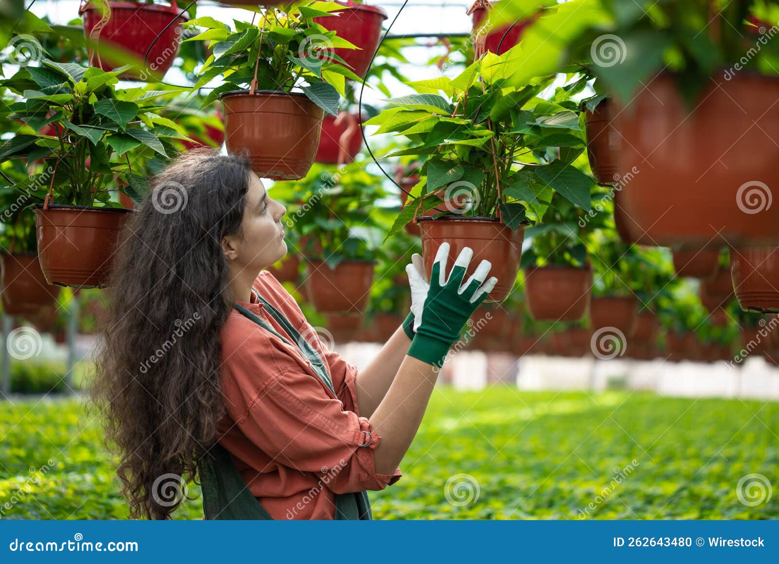 Gardener Checking on the Plants in a Botanical Garden Stock Photo ...