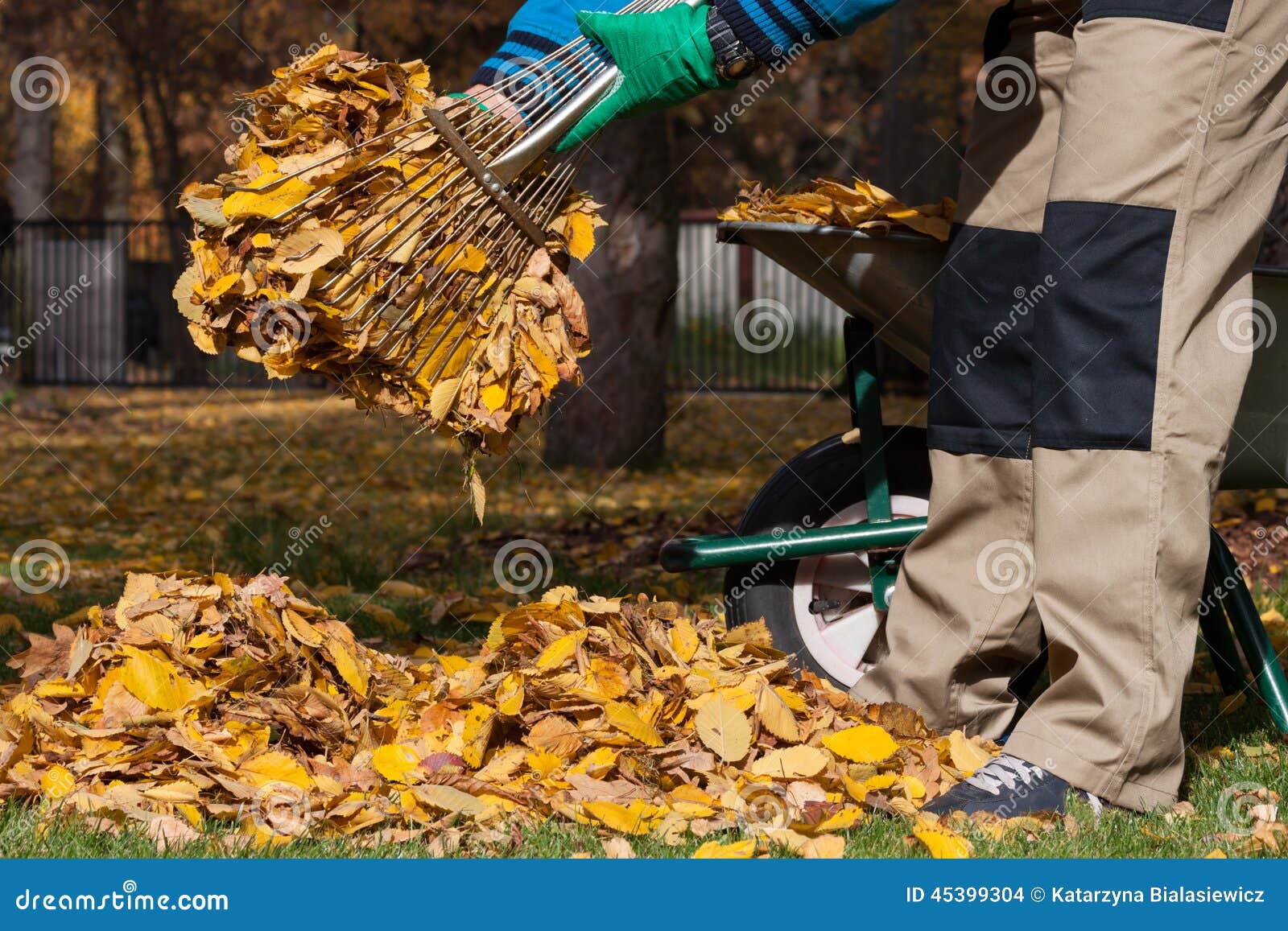 Gardener Cleaning Garden during Autumn Stock Photo - Image of botanical ...