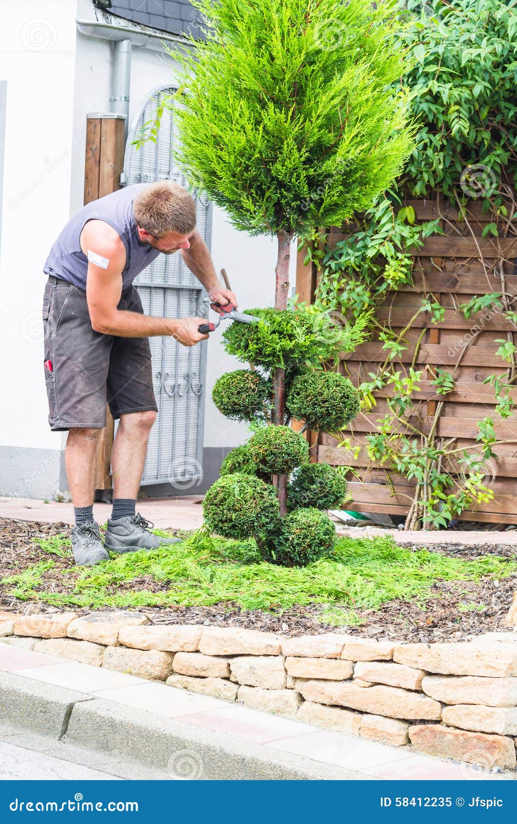 A Gardener Cuts the Topiary Stock Image - Image of life, metal: 58412235