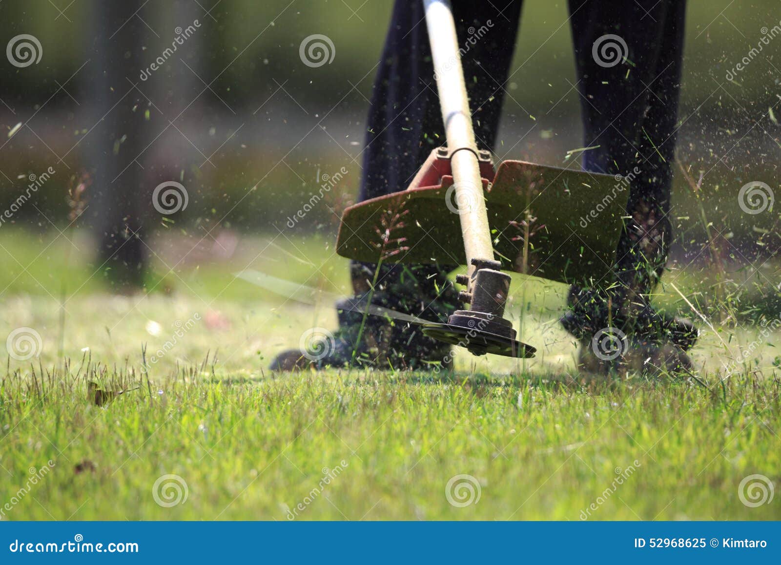 The Gardener Cutting Grass by Lawn Mower Stock Image - Image of mower ...