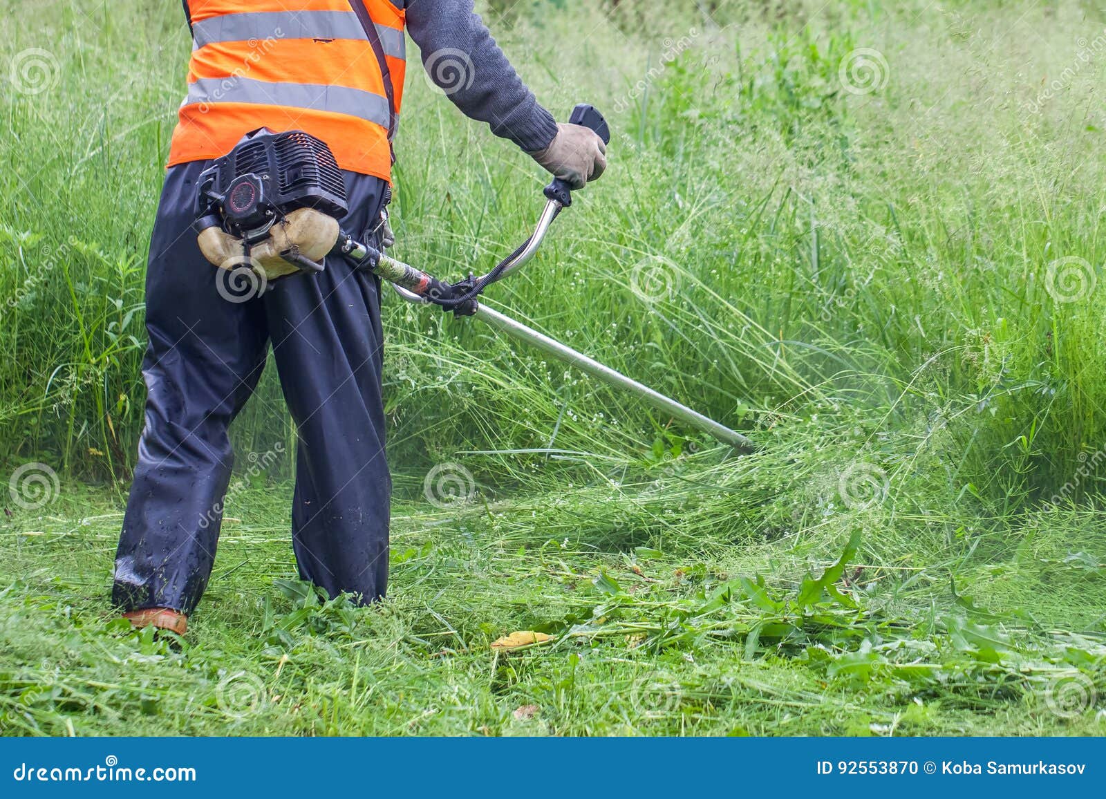 The Gardener Cutting Grass by Lawn Mower Stock Photo - Image of long ...