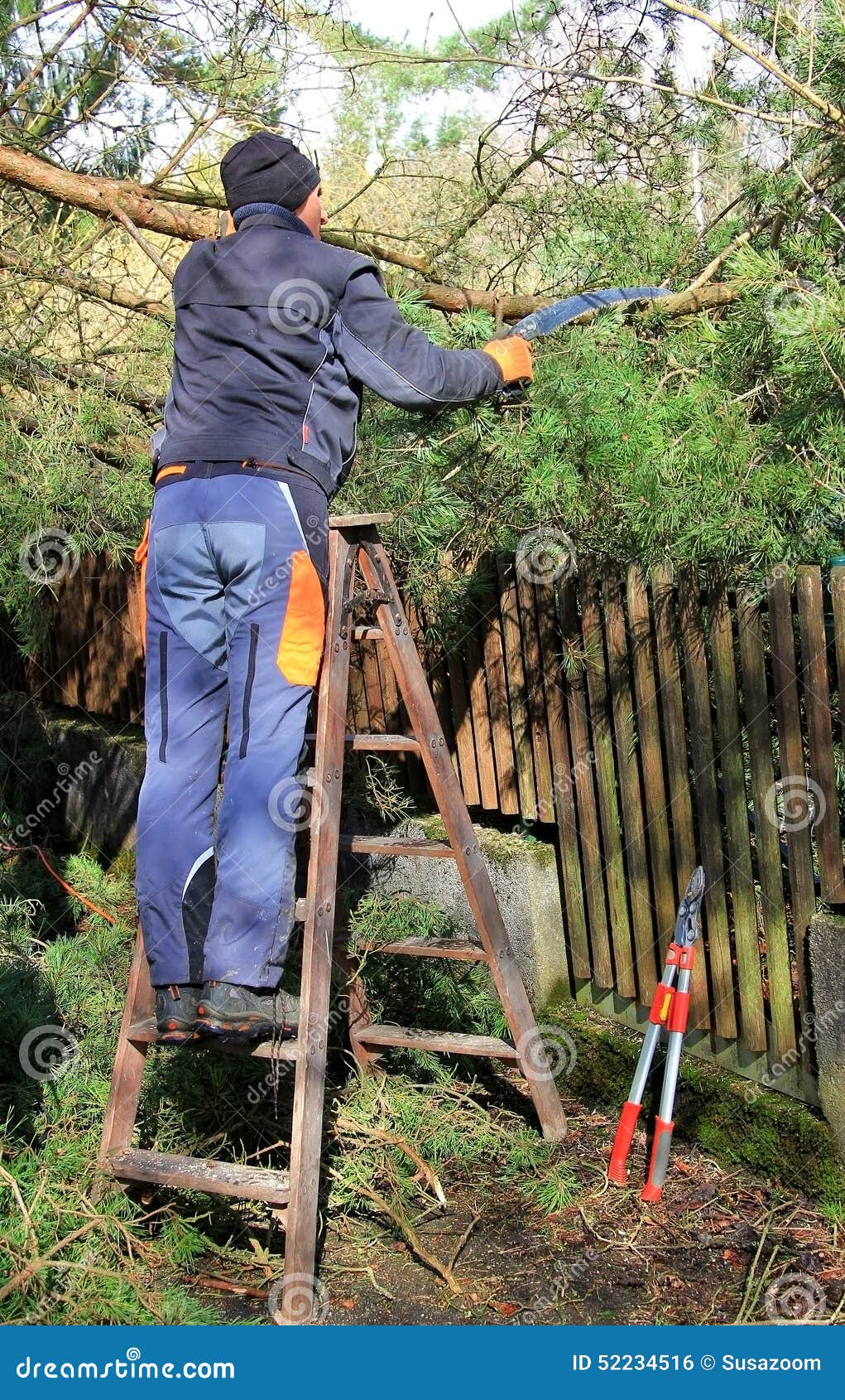 Gardener Cutting Tree, Cleanup after Storm Stock Photo - Image of ...