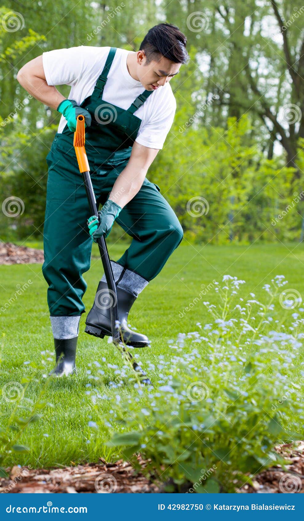 Gardener Digging with Shovel Stock Photo - Image of horticulture, asian ...