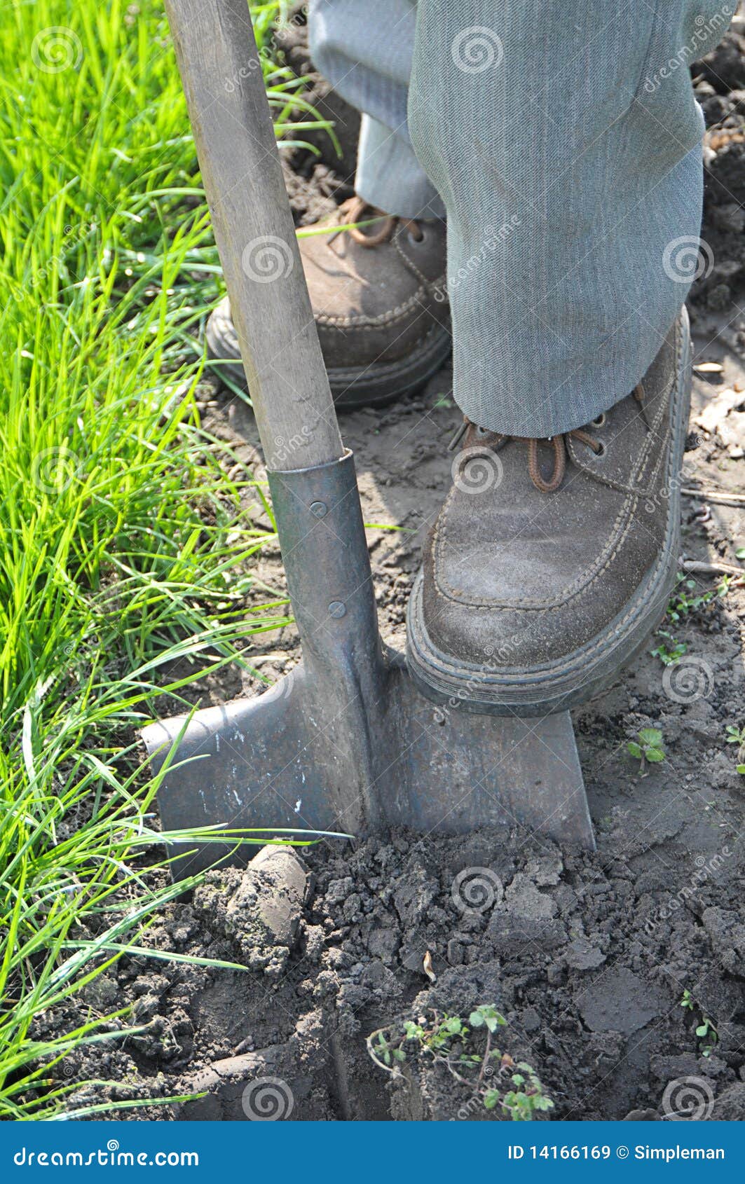 Gardener digging up stock image. Image of boot, gardening - 14166169