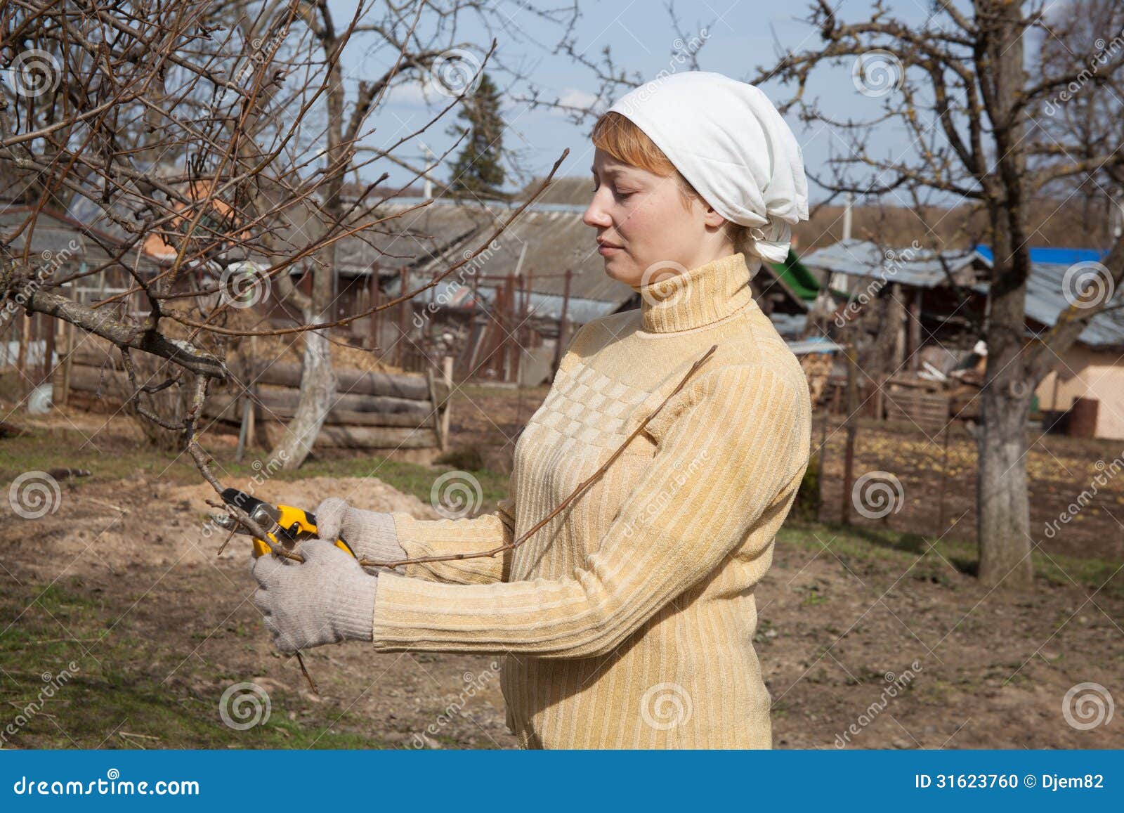 Gardener Doing Maintenance Work Stock Photo - Image of scissor, gloves ...