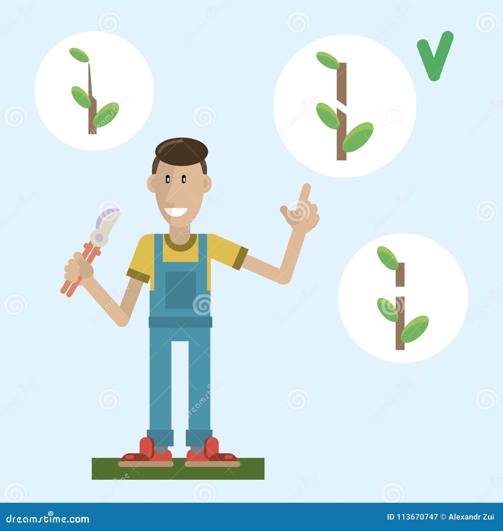 Rules for pruning trees stock vector. Illustration of gardener - 113670747