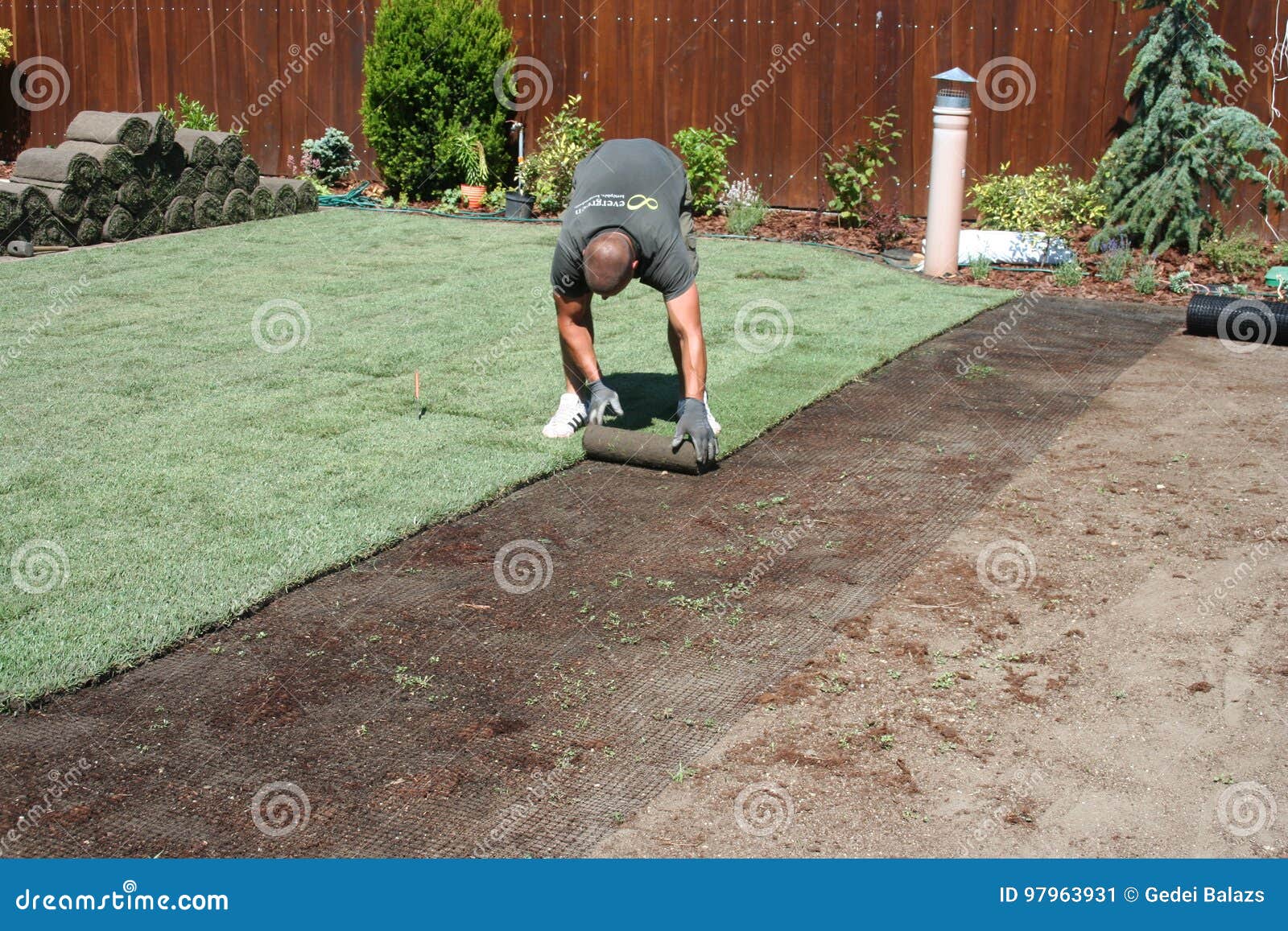 Gardener editorial photo. Image of earth, working, work - 97963931