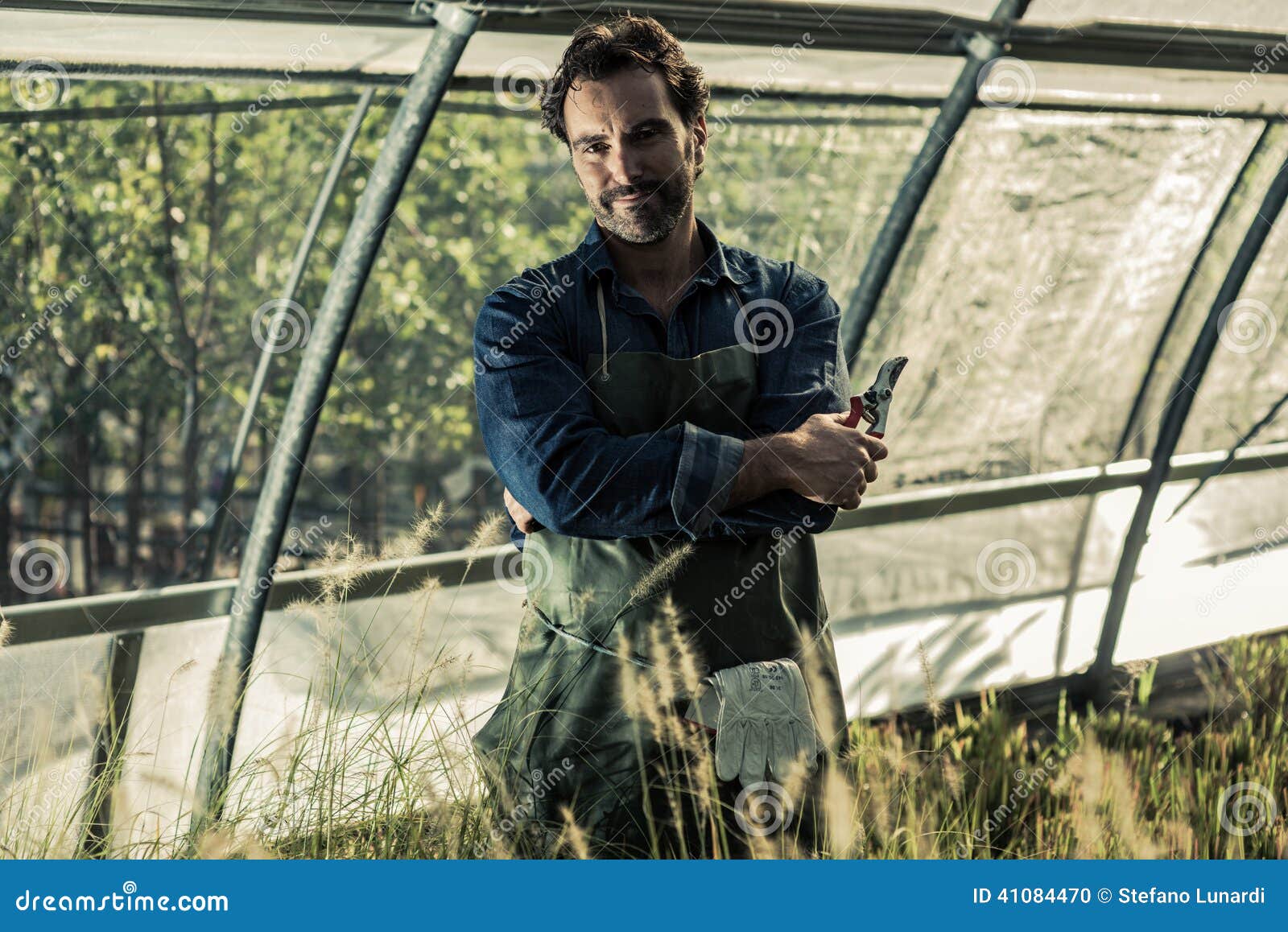 Gardener in a greenhouse stock photo. Image of caucasian - 41084470