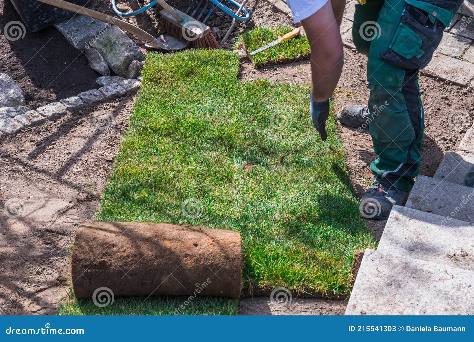 Gardener Laying Turf in a Home Garden Stock Image - Image of grass ...