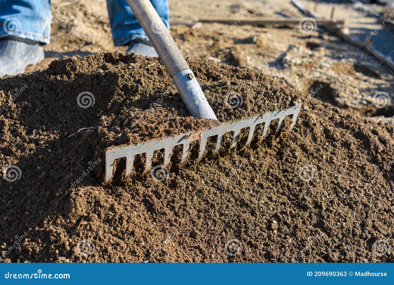 The Gardener Loosens the Ground with a Rake Stock Image - Image of ...