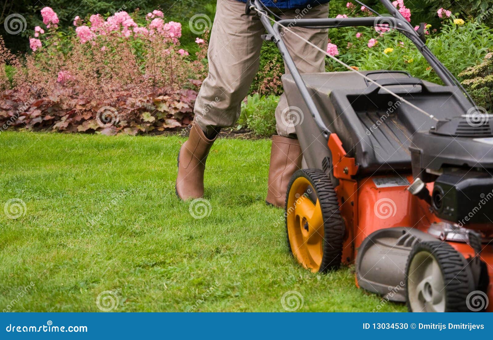 Gardener mowing the lawn. stock photo. Image of lawnmower - 13034530