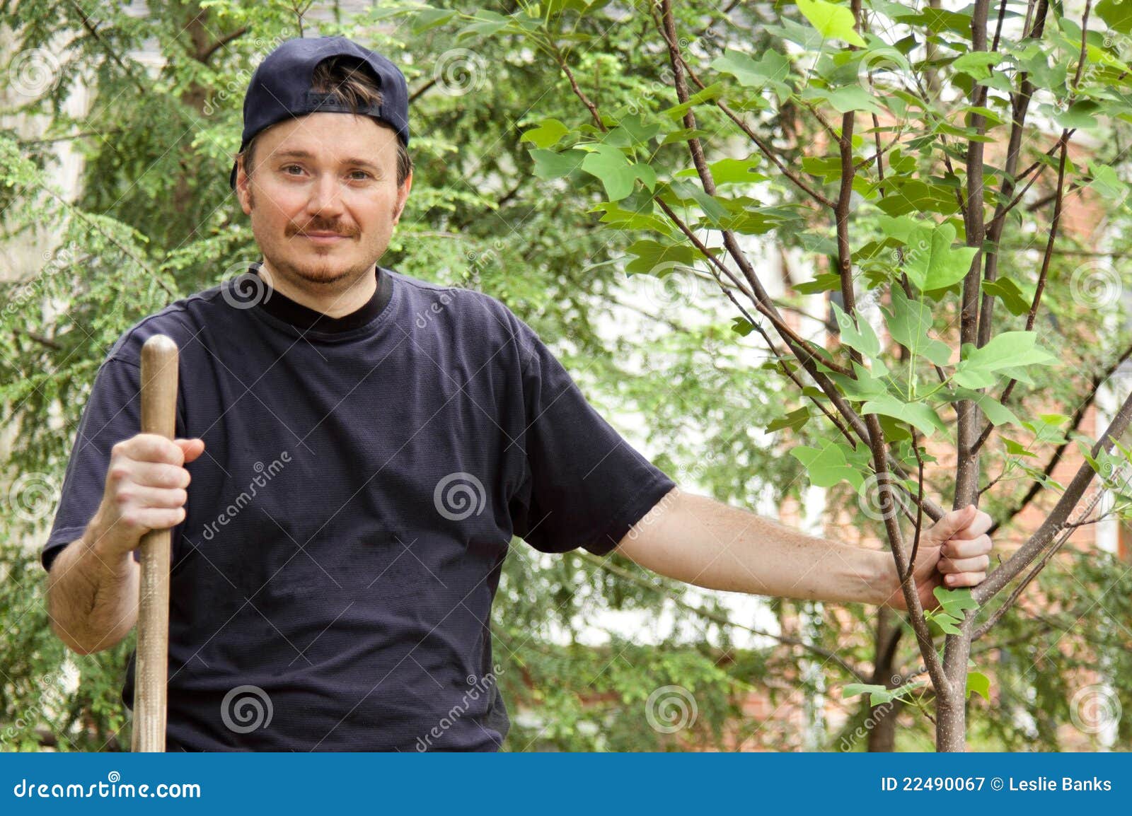 Gardener with new tree stock image. Image of planting - 22490067