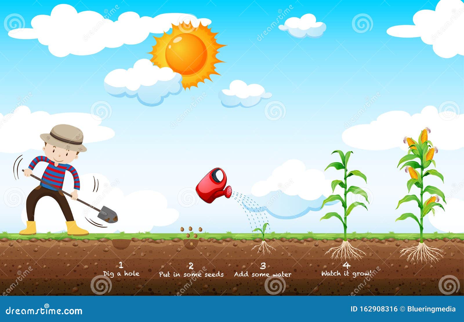 Gardener Planting Corn in the Field Stock Vector - Illustration of ...