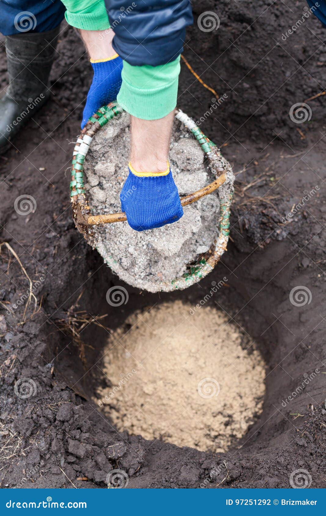 The Gardener Prepares the Ground before Planting the Bush into the Soil ...