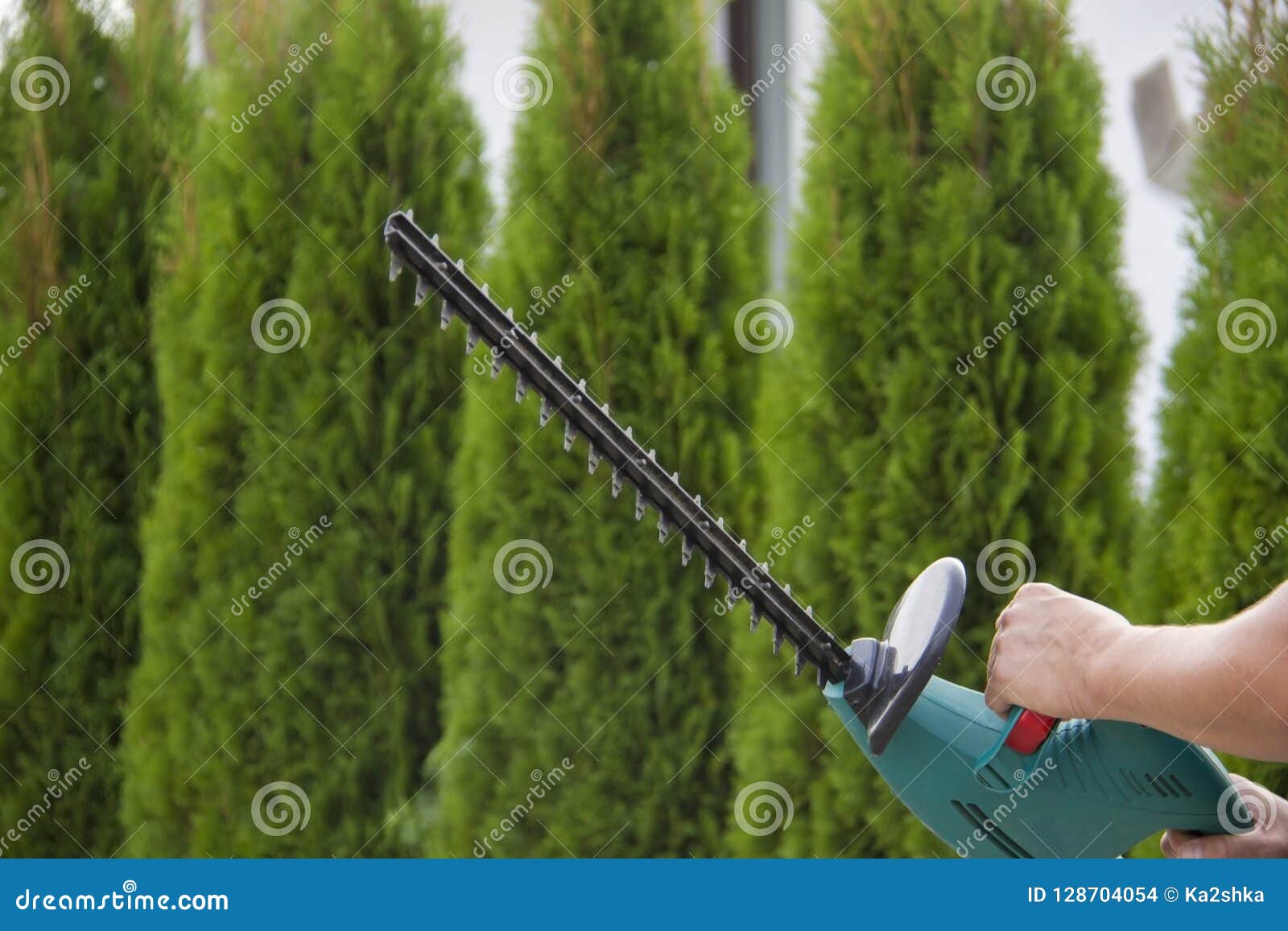 Gardener with a Professional Garden Tools at Work. Planting of Greenery ...