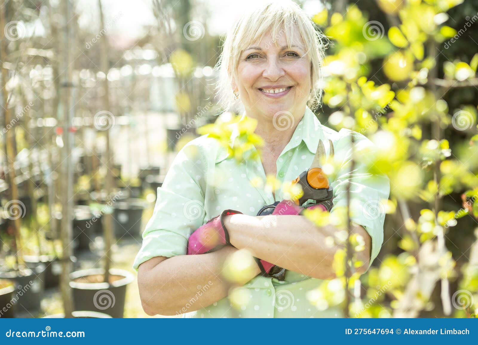 Gardener with Pruner and Plants Stock Photo - Image of garden, market ...