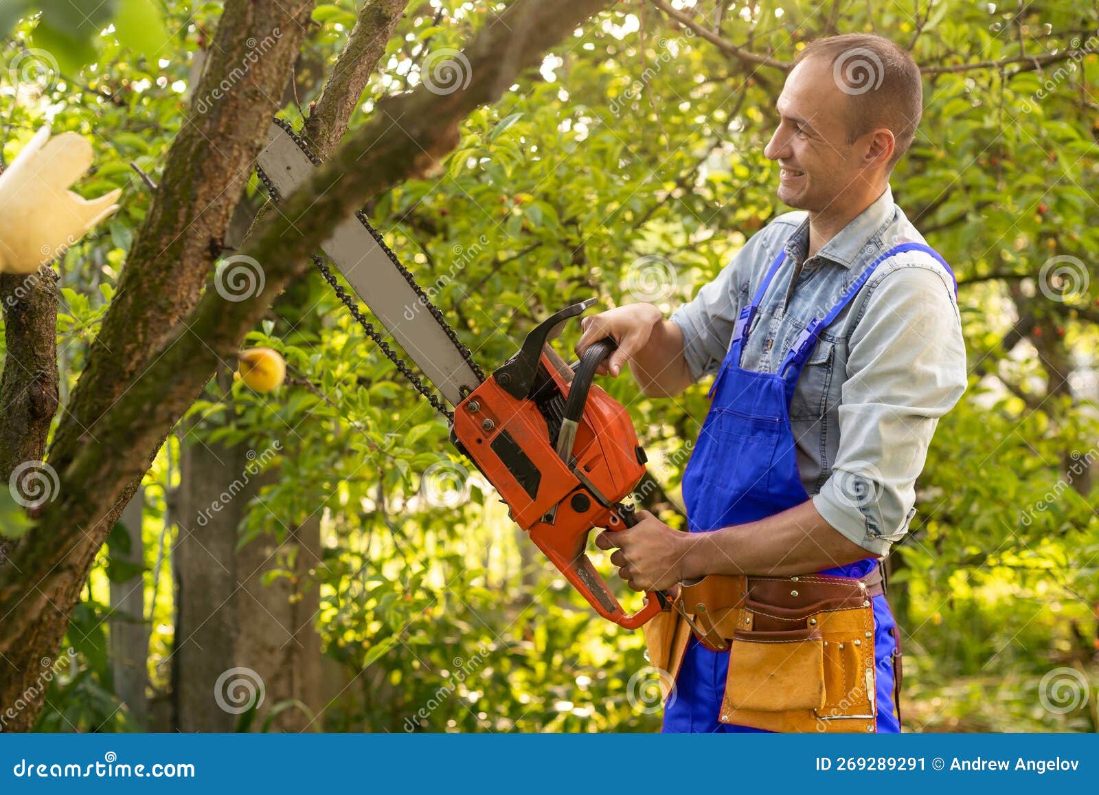 The Gardener Prunes the Trees Stock Image - Image of hand, pruning ...