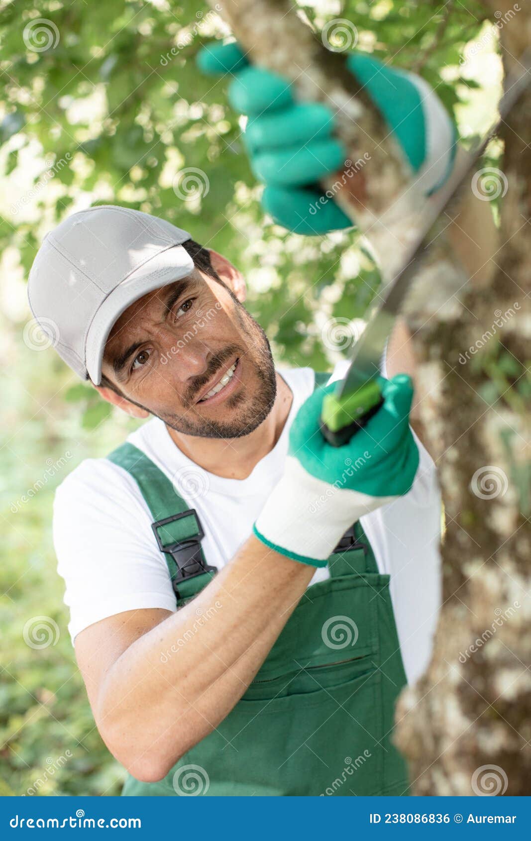 Cutting Old Branch Of Tree. Pruning Trees In Garden By A Hacksaw Stock ...