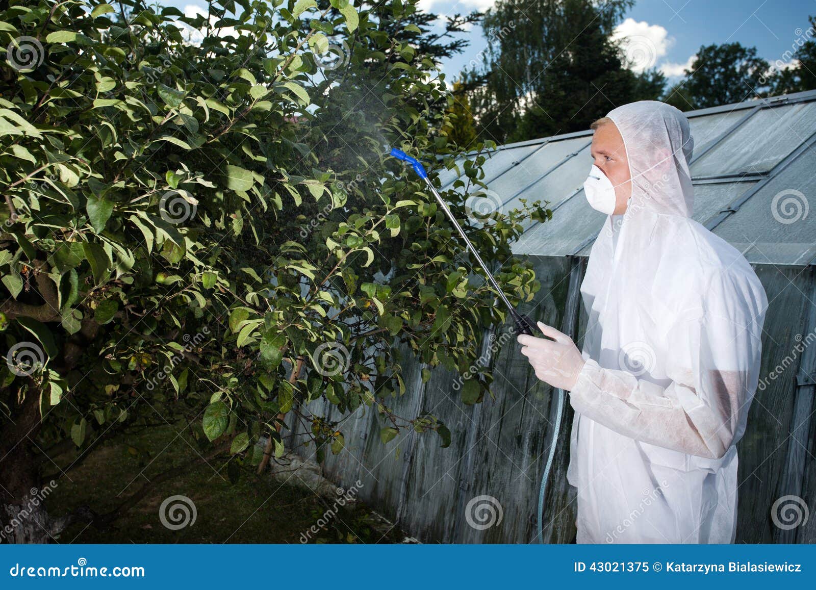 Gardener spraying trees stock image. Image of protective - 43021375