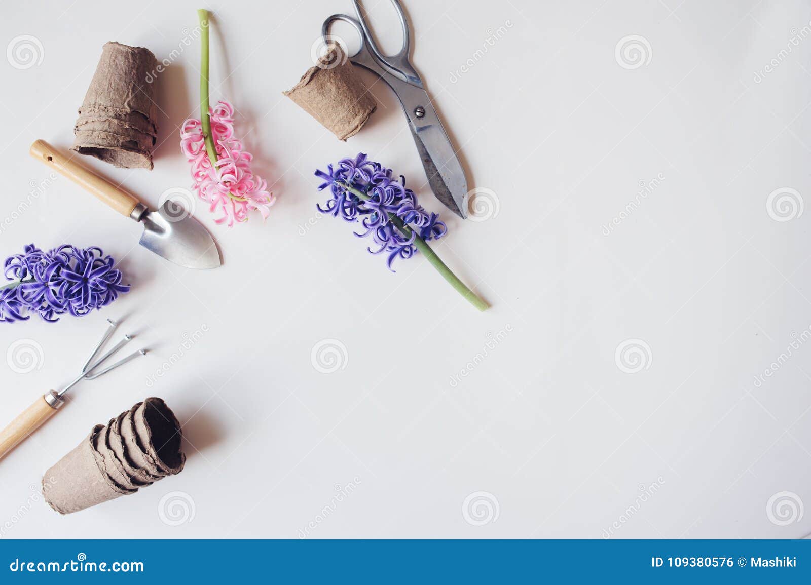 Gardener Spring Table Top View with Hyacinth Flowers, Peat Pots and ...
