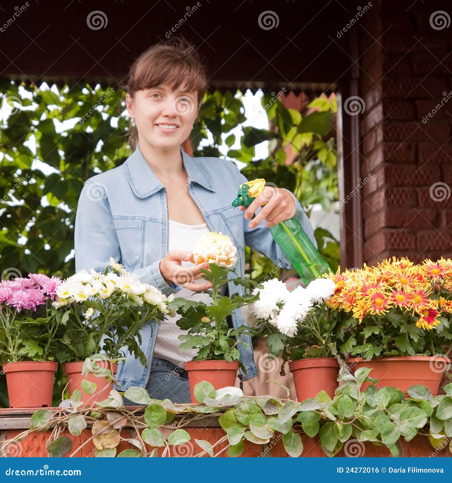Gardener sprinkles flowers stock photo. Image of golden - 24272016