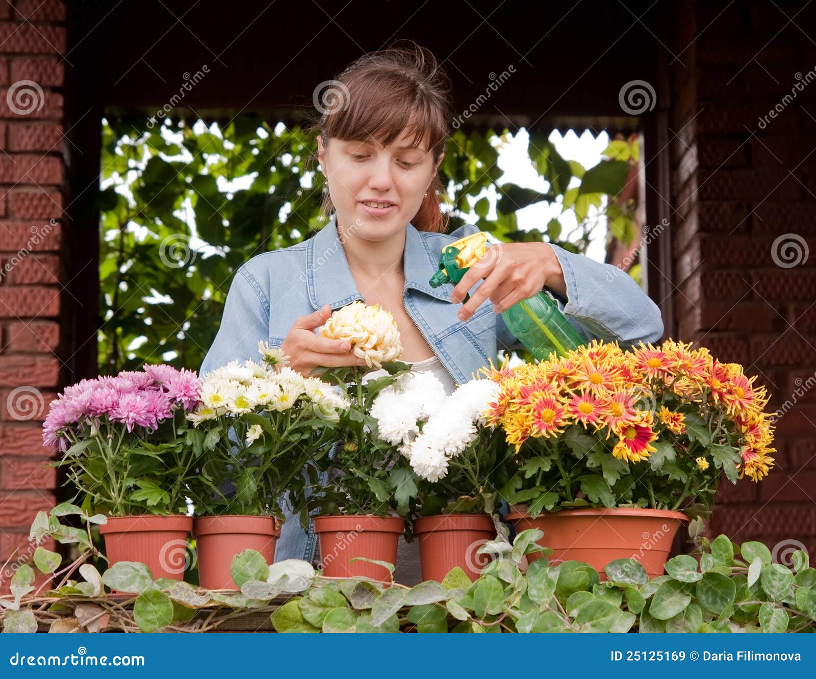 Gardener sprinkles flowers stock image. Image of gardening - 25125169