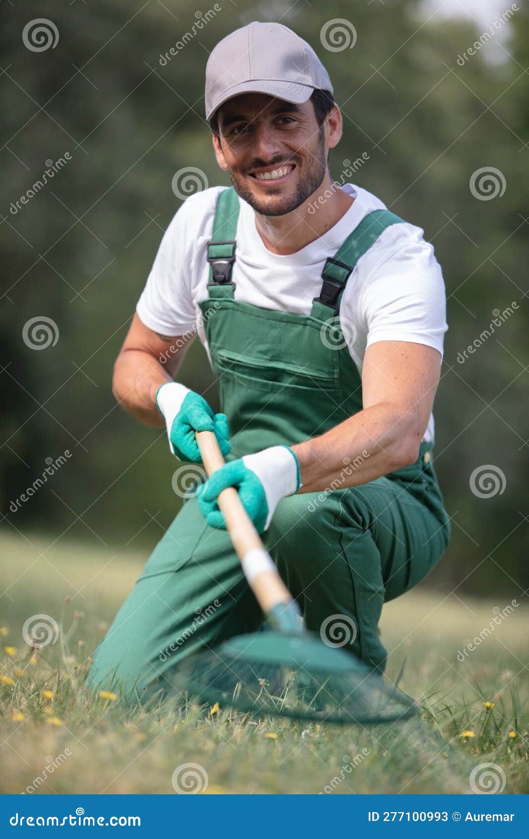 Gardener Sweeping Leaves while Smiling Stock Image - Image of gardening ...