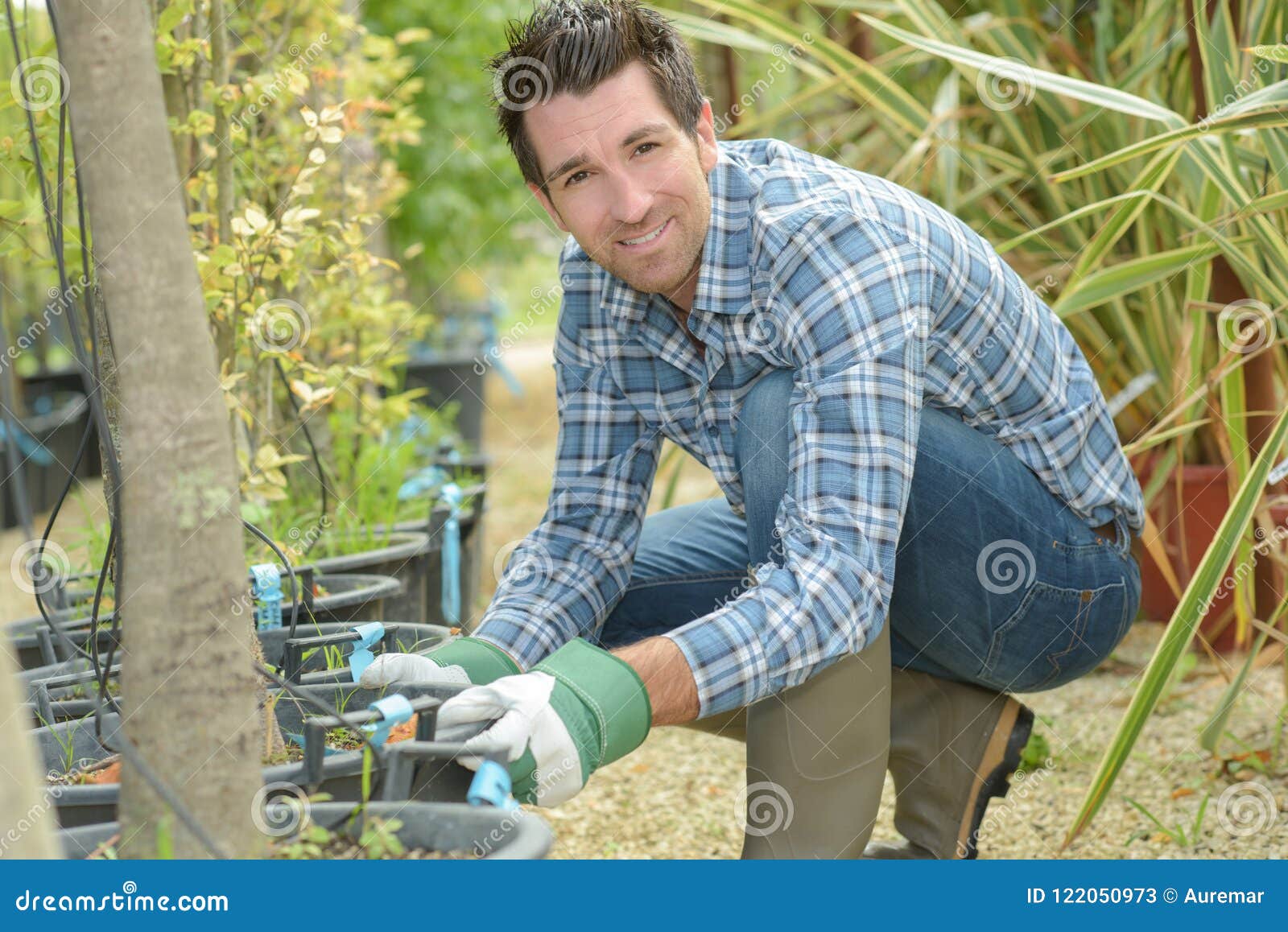 Gardener Tending Potted Trees Stock Image - Image of outdoors, gardener ...
