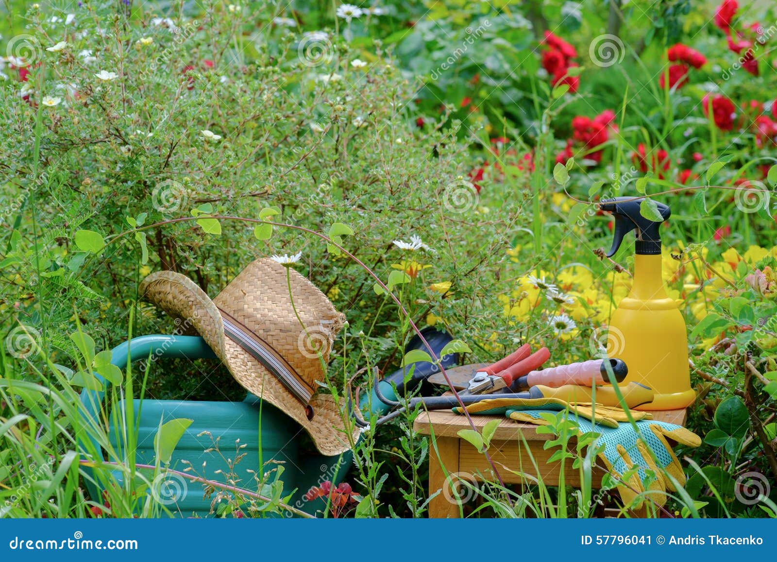 Gardener tools stock image. Image of green, tools, shovel - 57796041