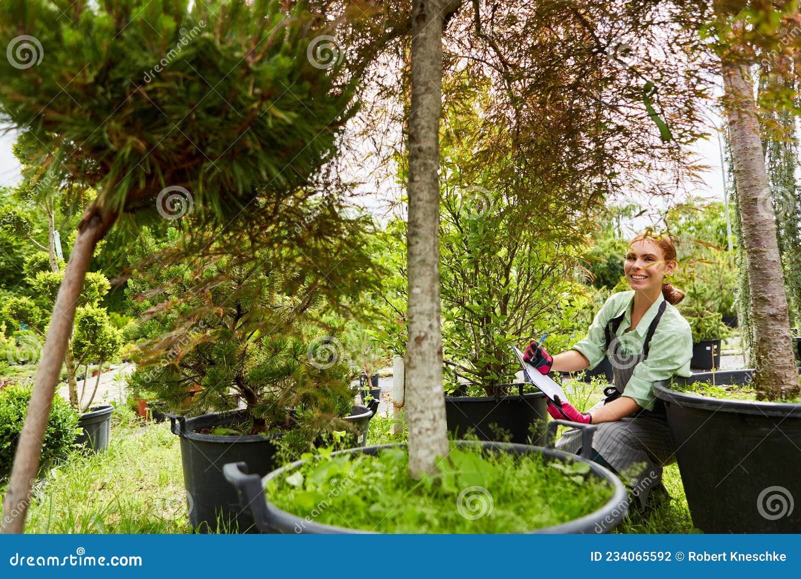 Gardener Trainee in the Tree Nursery with Climatic Trees Stock Photo ...