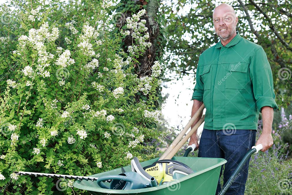 Gardener uses wheelbarrow stock image. Image of hobby - 250116087