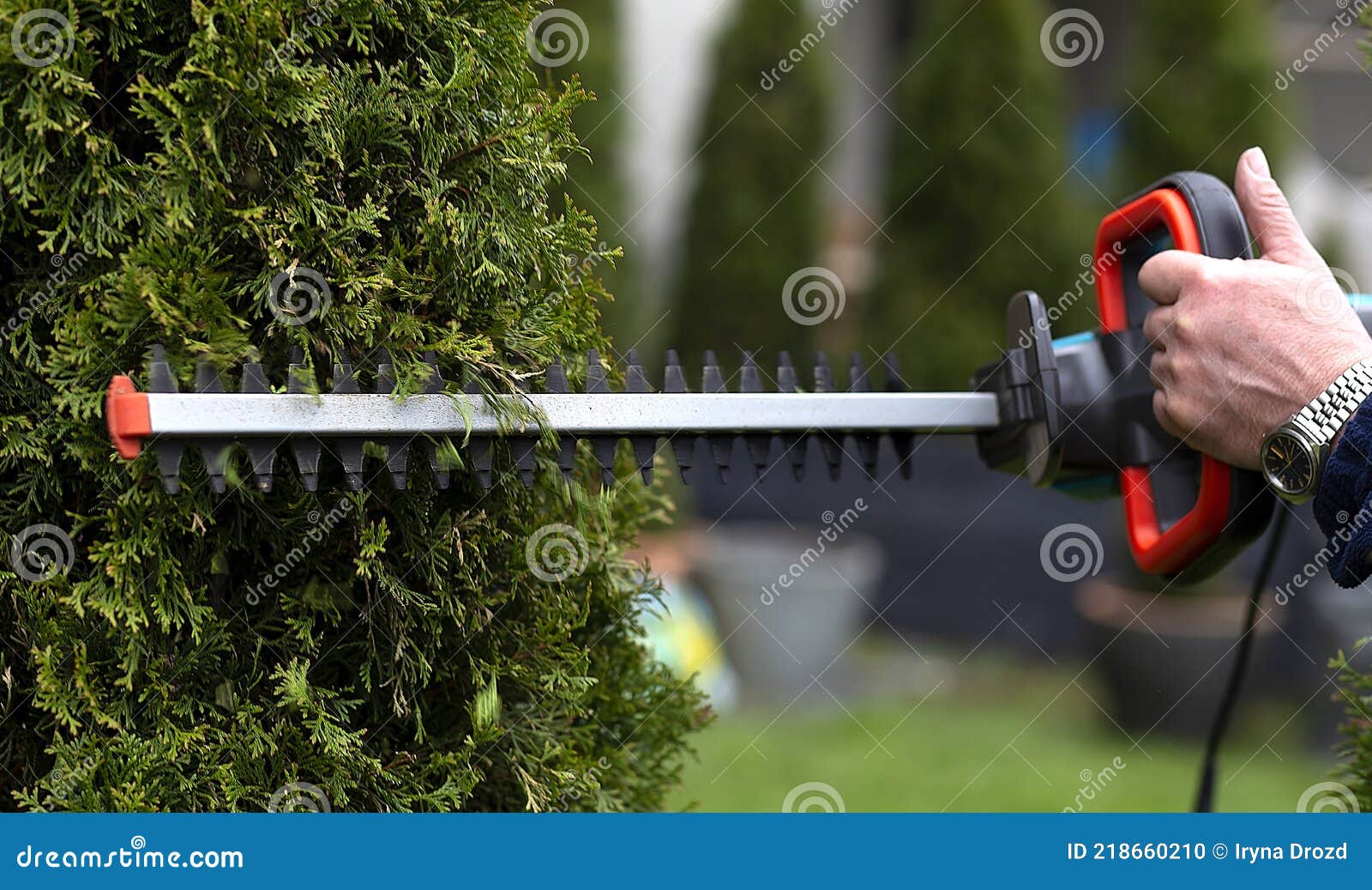 Gardener Using an Hedge Clipper in the Garden Stock Photo - Image of ...