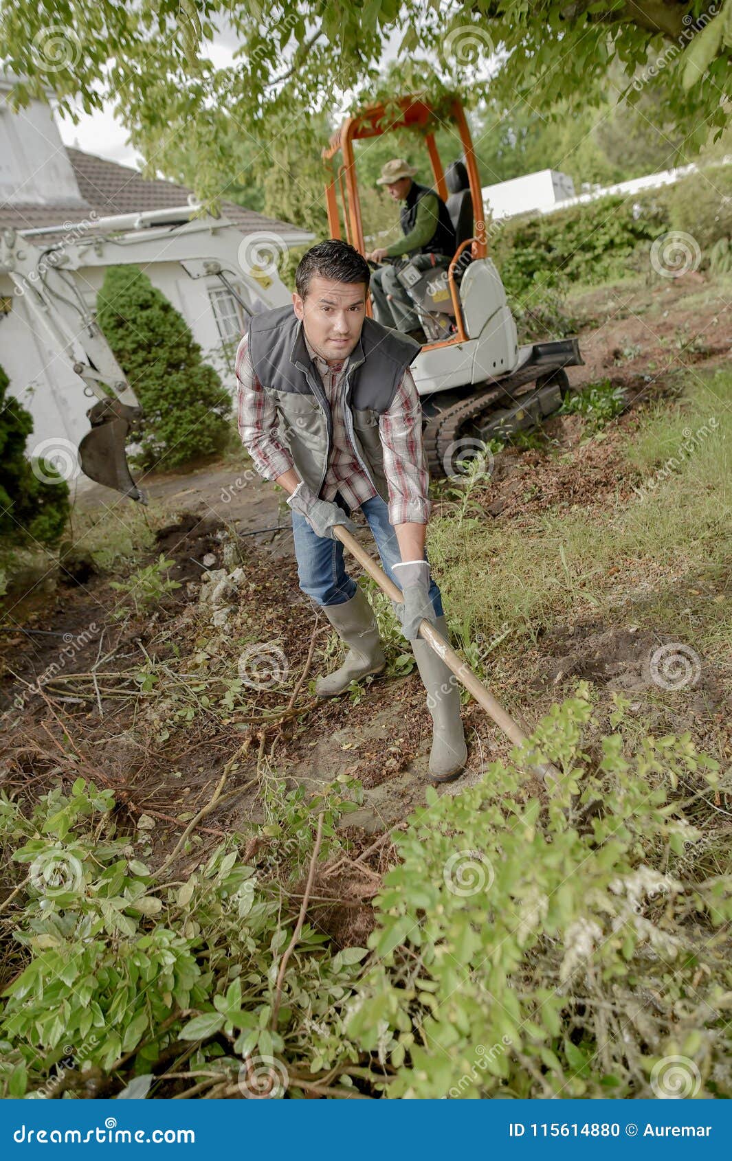 Gardener using a rake stock photo. Image of earth, growth - 115614880
