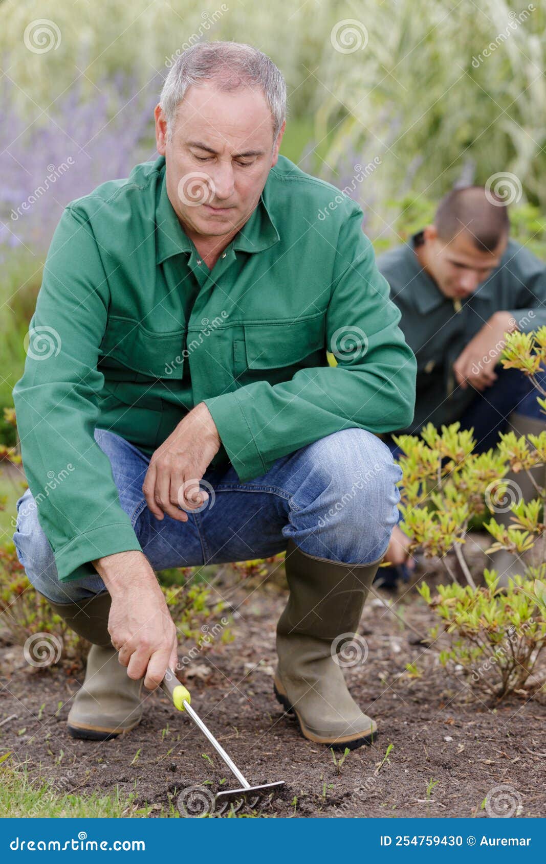 Gardener Using Rake To Rake Soil Stock Photo - Image of handle ...