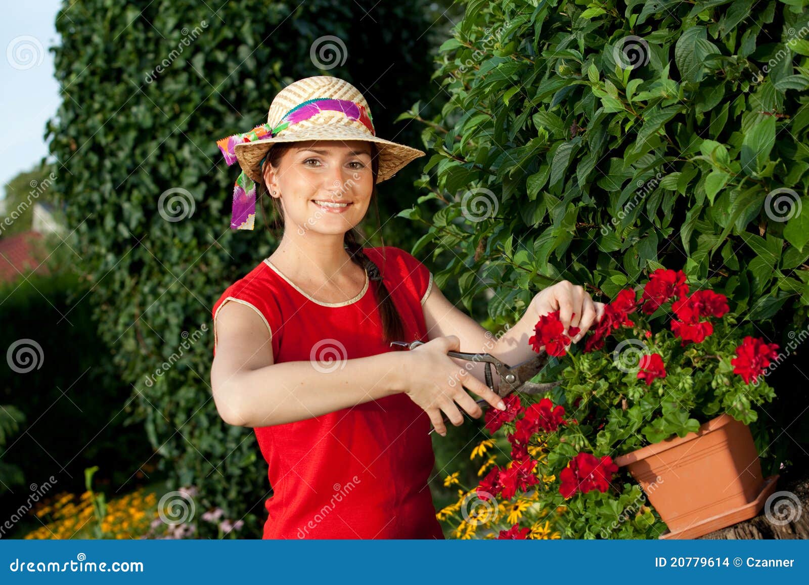 Gardener woman stock photo. Image of pruning, blossom - 20779614