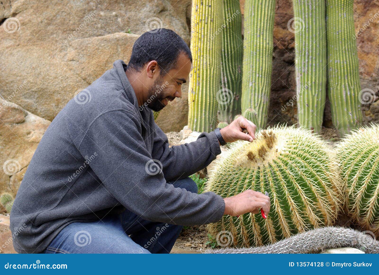 Gardener at work stock photo. Image of close, cactuses - 13574128