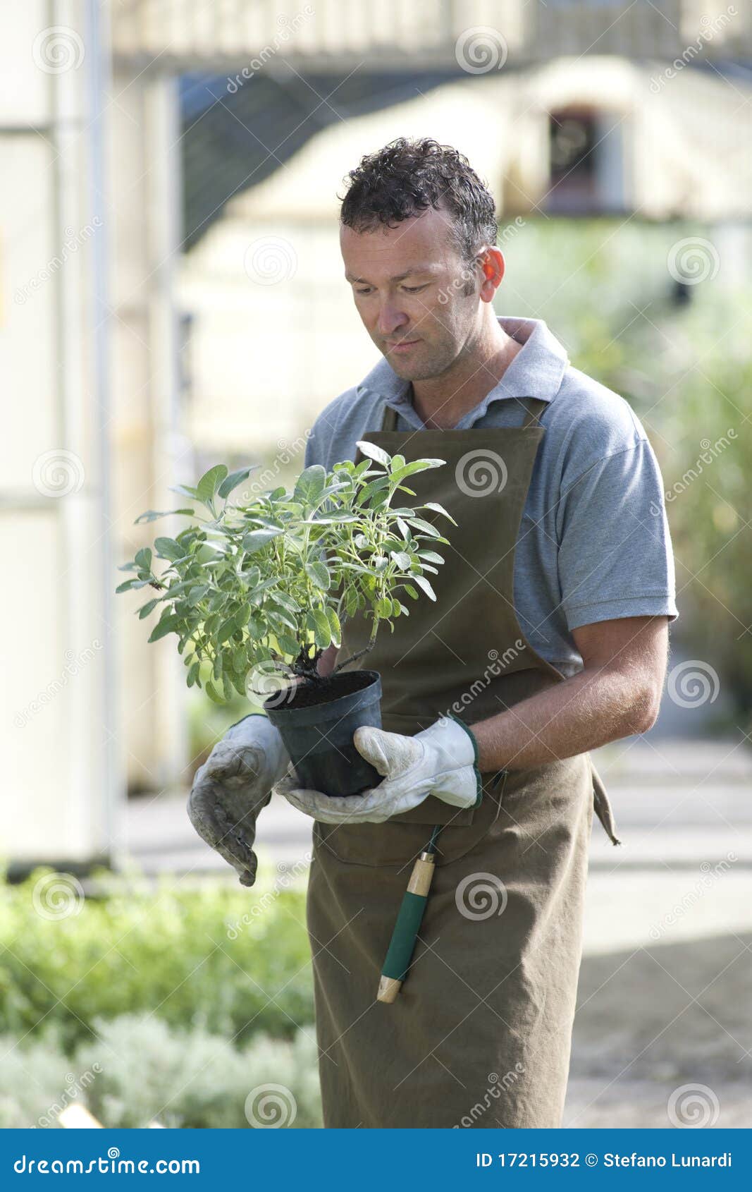 Gardener at work stock photo. Image of protective, selling - 17215932