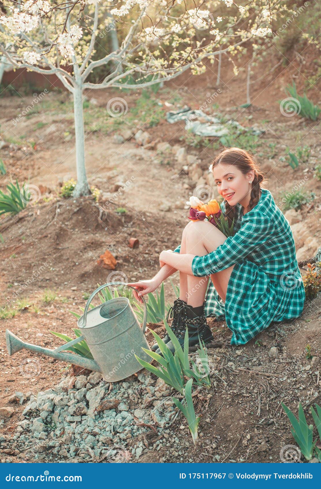 Gardener Working in Back Yard, Sunny Nature. Stock Image - Image of ...
