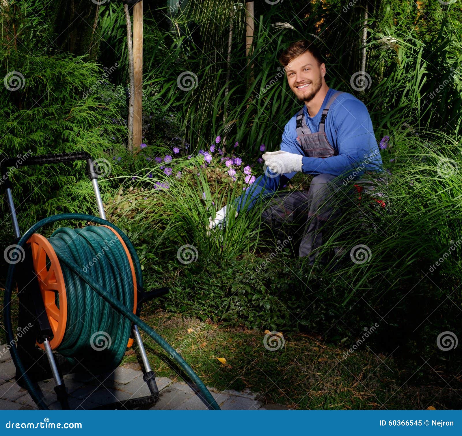 Gardener Working in a Garden Stock Image - Image of grass, scissors ...