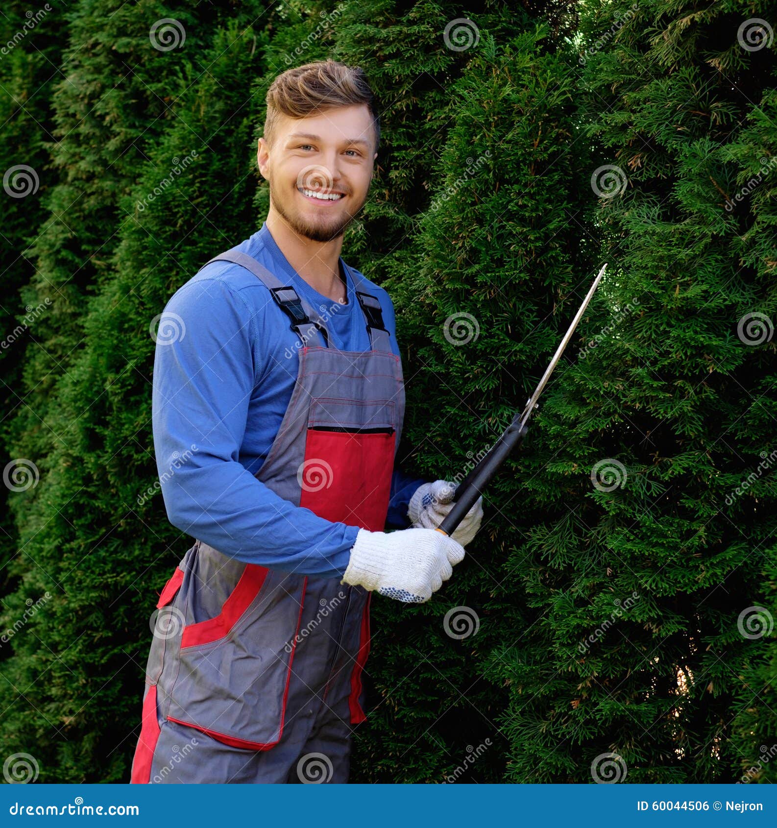 Gardener working in garden stock photo. Image of instrument - 60044506