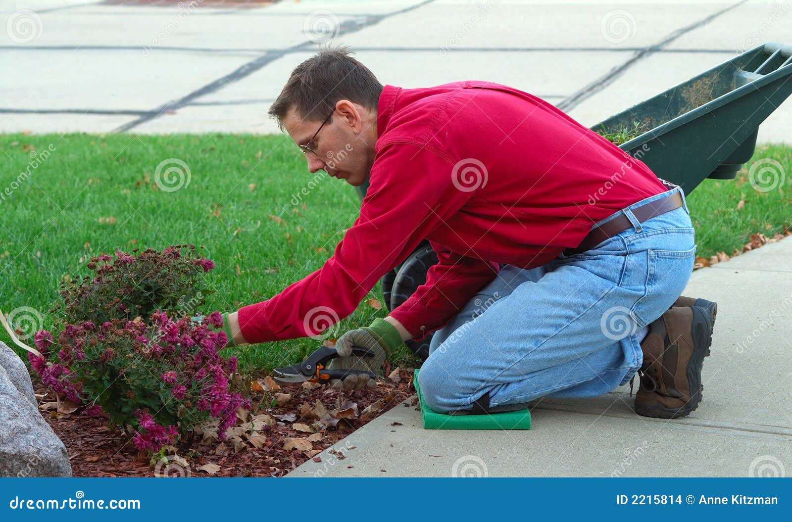 Gardener Working Man stock photo. Image of gardener, flowers - 2215814