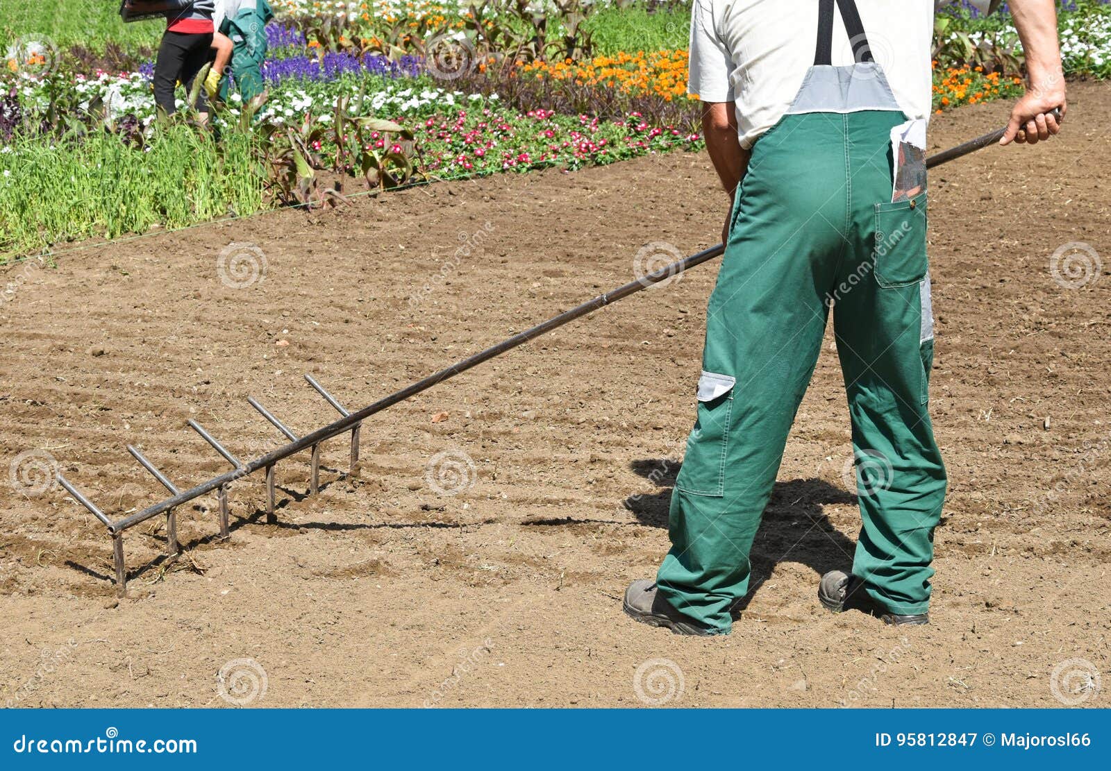 Gardener Works with a Large Rake Stock Image - Image of botanist, park ...