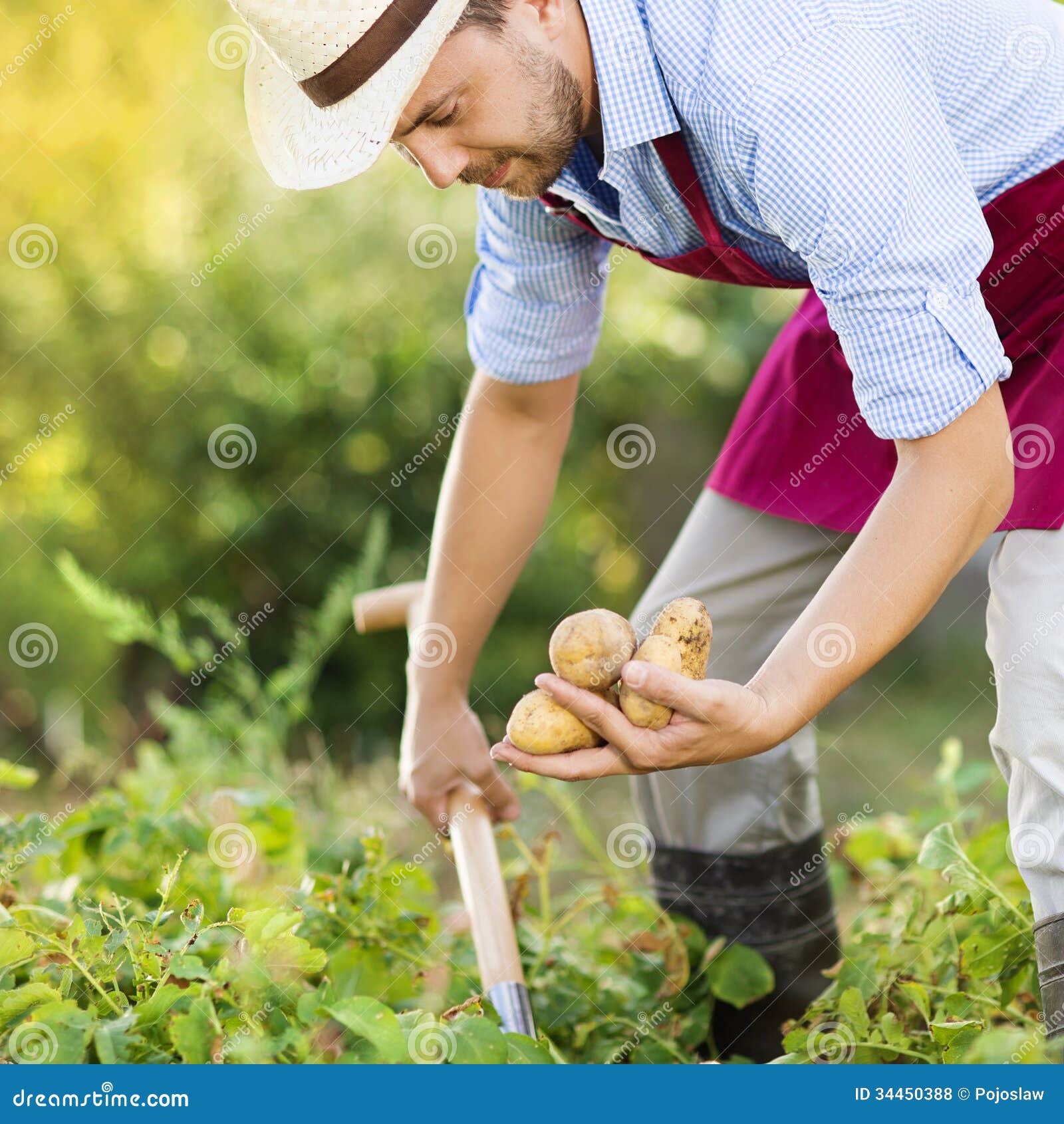 Gardener stock photo. Image of leisure, green, outside - 34450388