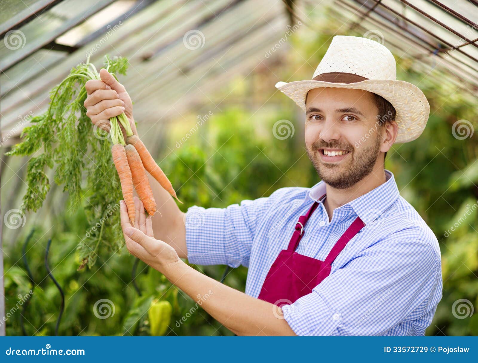 Gardener stock image. Image of carrot, owner, broccoli - 33572729