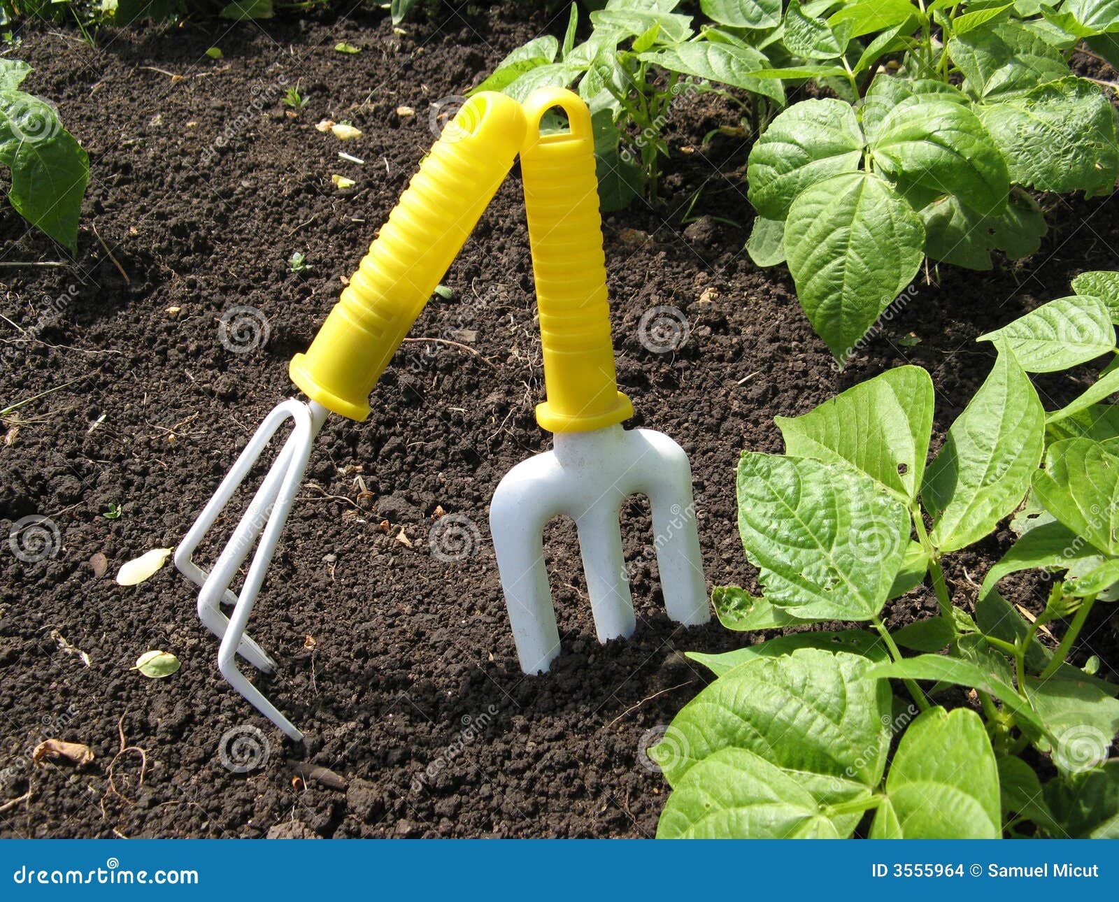 Gardening stock photo. Image of spade, horticulture, earth - 3555964